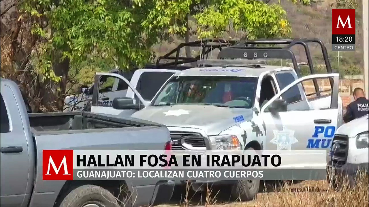 Localizan cuatro cuerpos en fosas clandestinas de Irapuato tras reporte ...