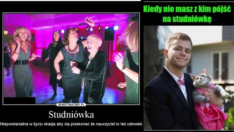 Oto najlepsze studniówkowe MEMY! Śmiech gwarantowany. Zobacz, jak ...