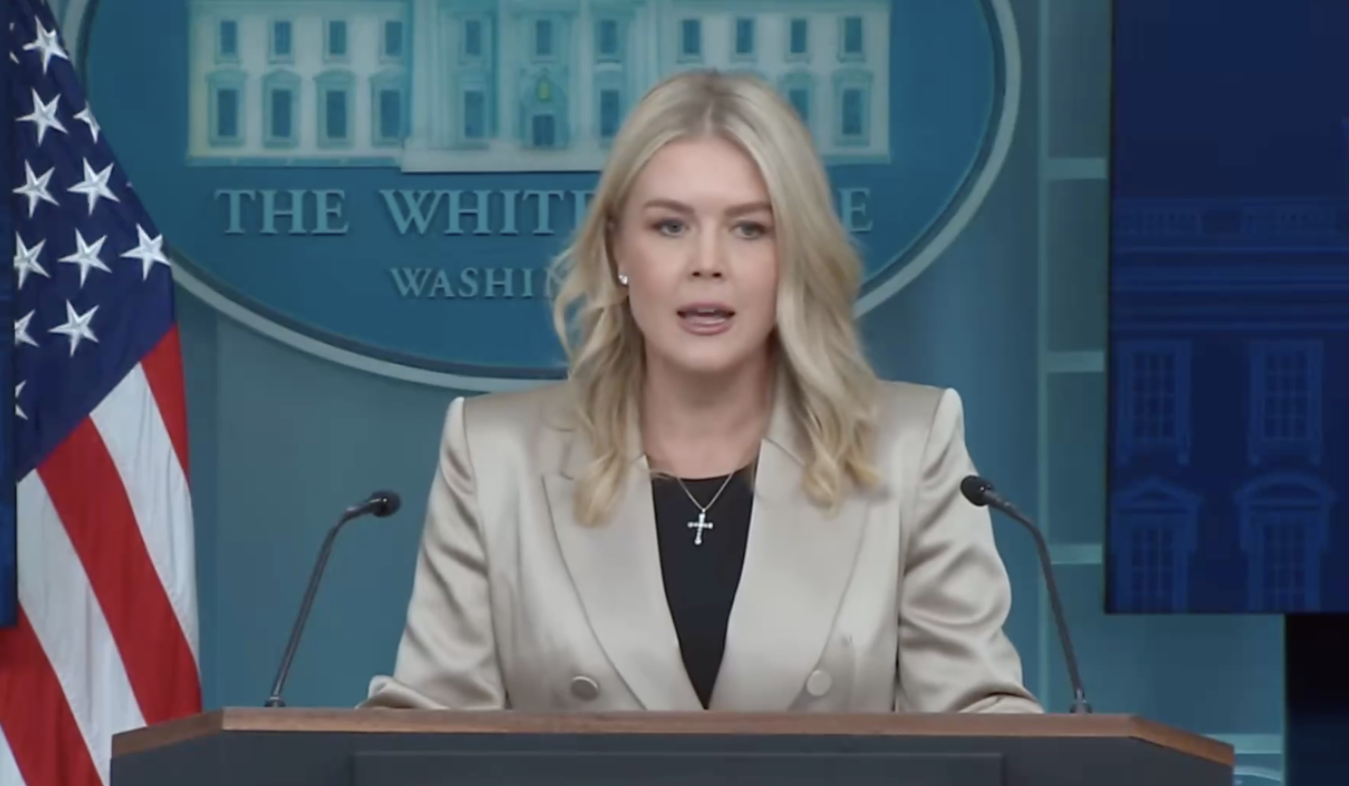 'It's the Democrats who forced us into this': Karoline Leavitt creates ...