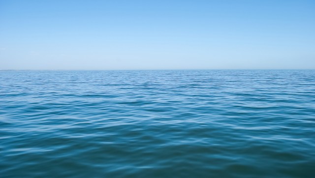 Scientists sound alarm over disturbing issue in ocean research: 'Many ...