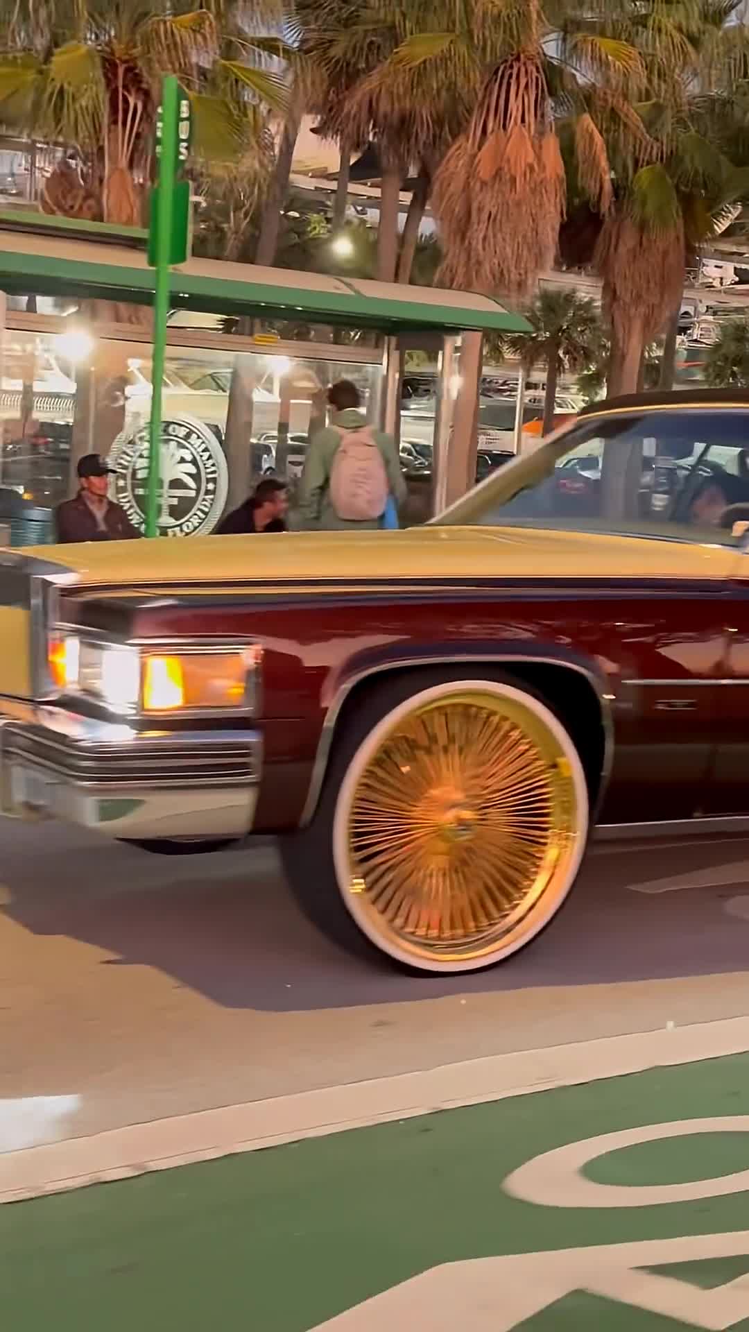 Miami car game rideout