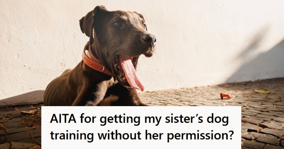 Busy sister can’t get her Great Dane puppy out of his crate to play, so ...