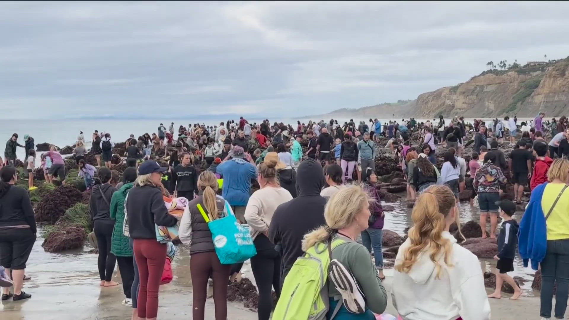 King tides draw crowds to La Jolla for surf, tidepooling