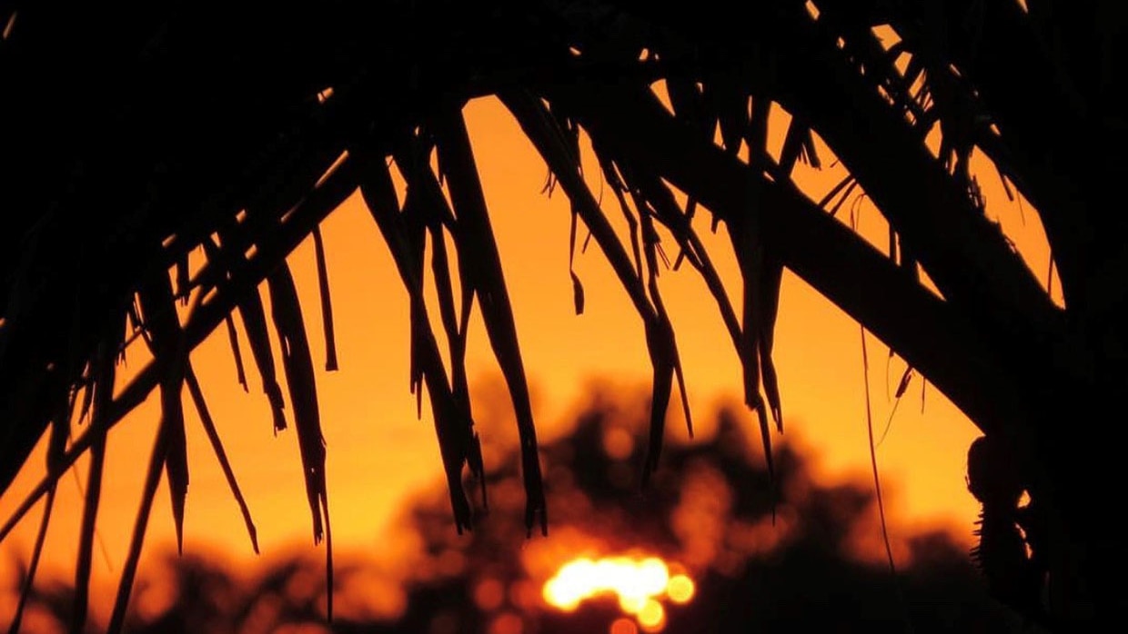 Heatwave conditions forecast for southern Queensland over Australia Day ...