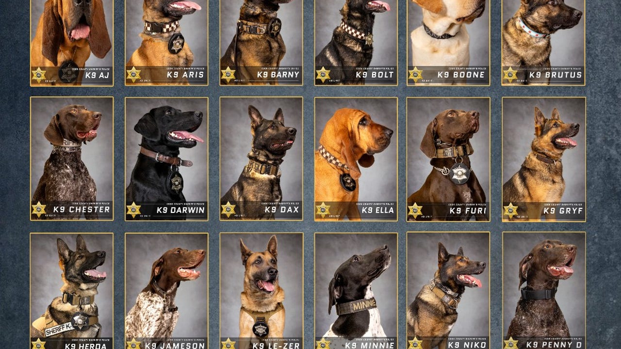 Cook County Sheriff’s K-9 Unit features 24 trained dogs ready for duty