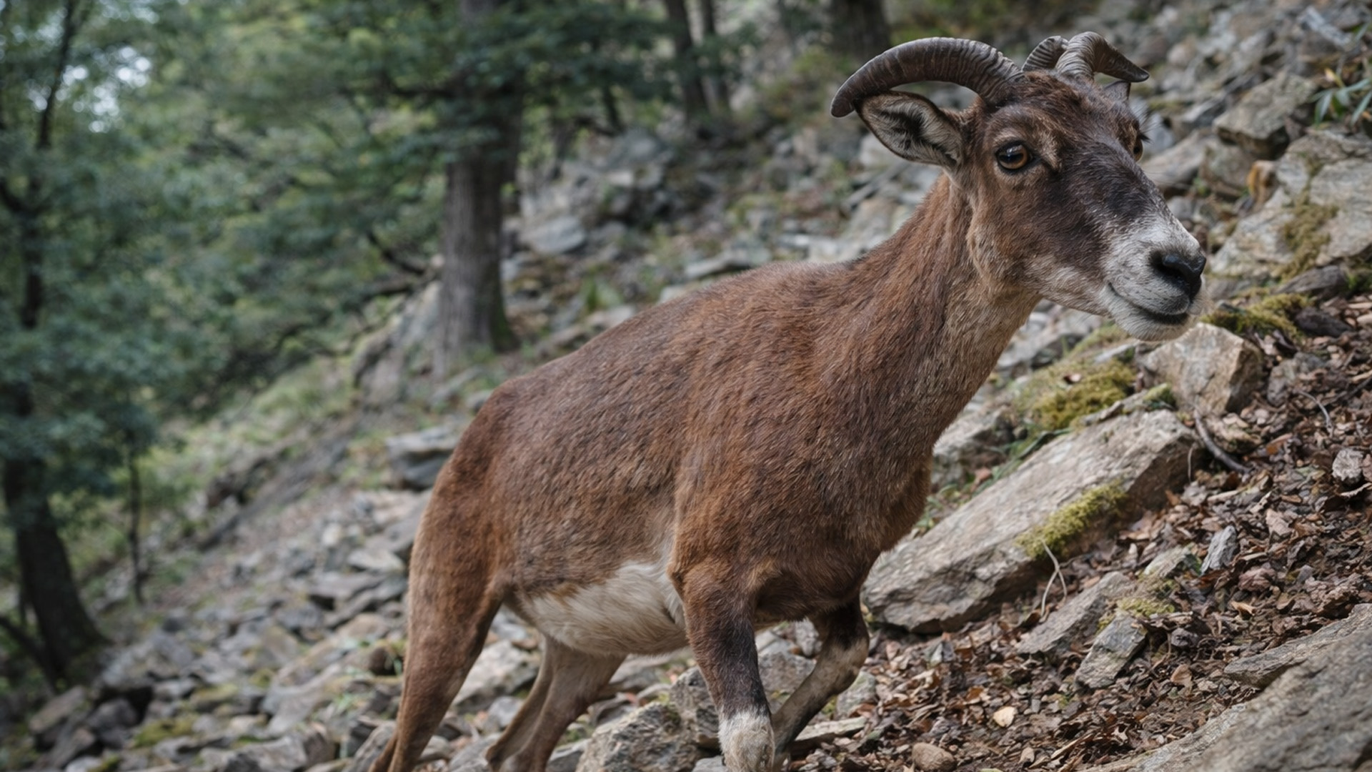 A hidden camera reveals a scene far from sight