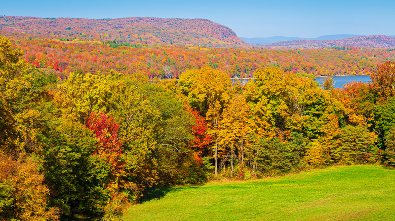 New York's 5 most charming Catskills hotels reviewers rave about