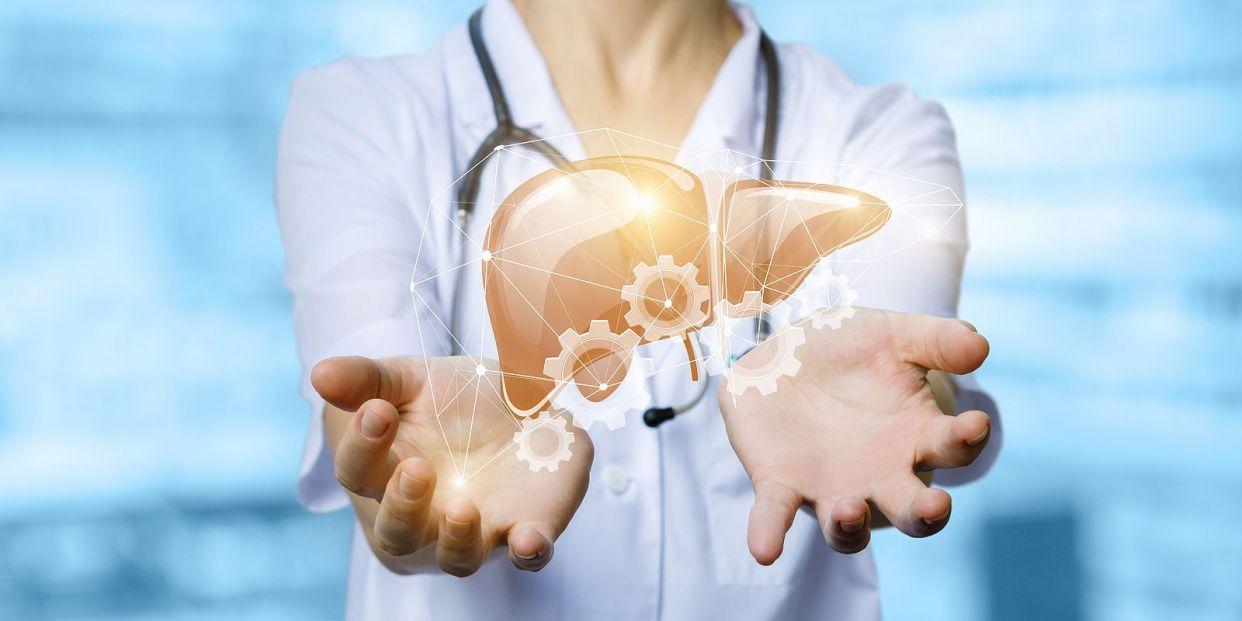 Hígado graso: nuevas claves científicas y hábitos para frenarlo