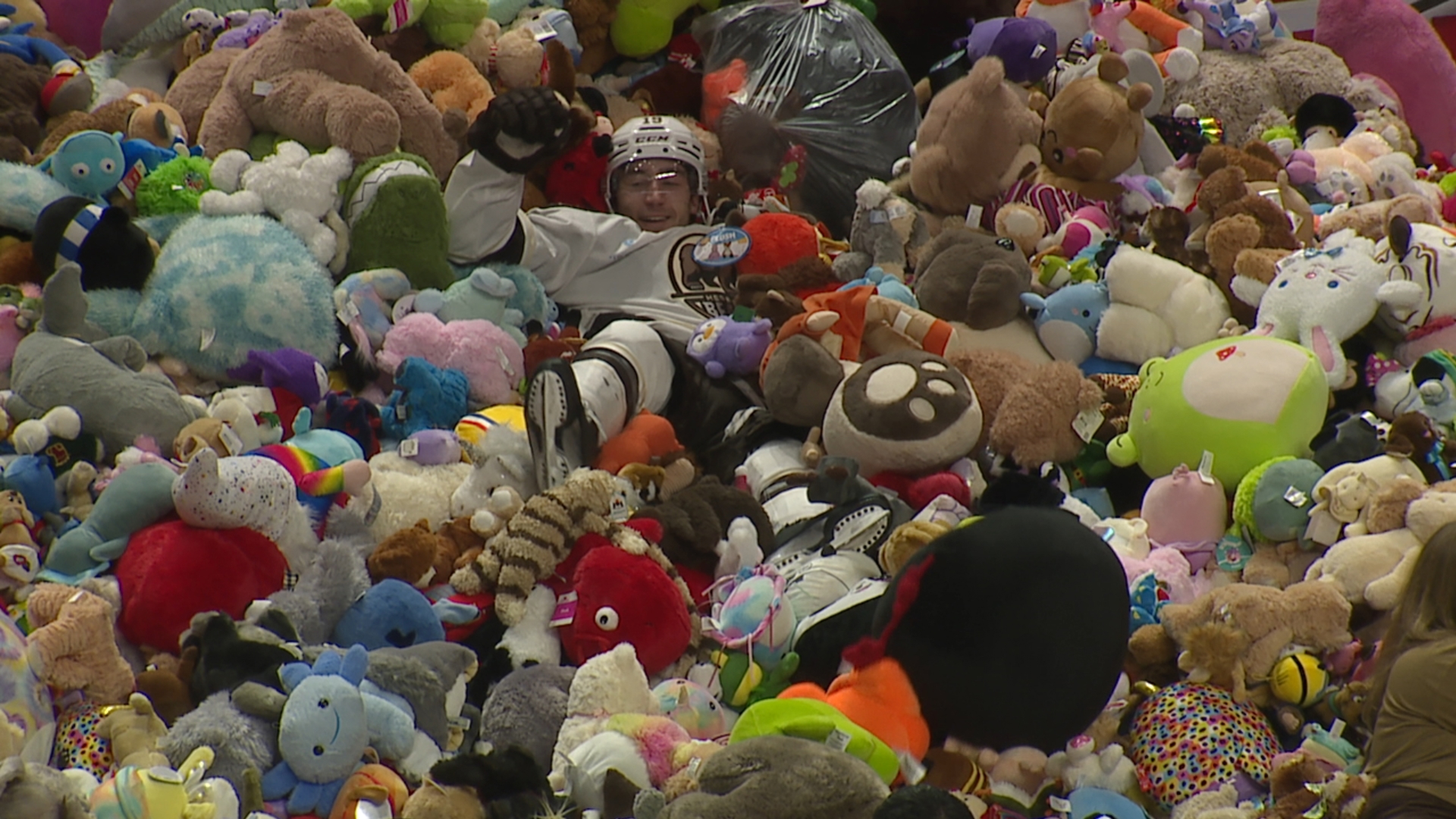 One goal triggers Teddy Bear Toss in Hershey
