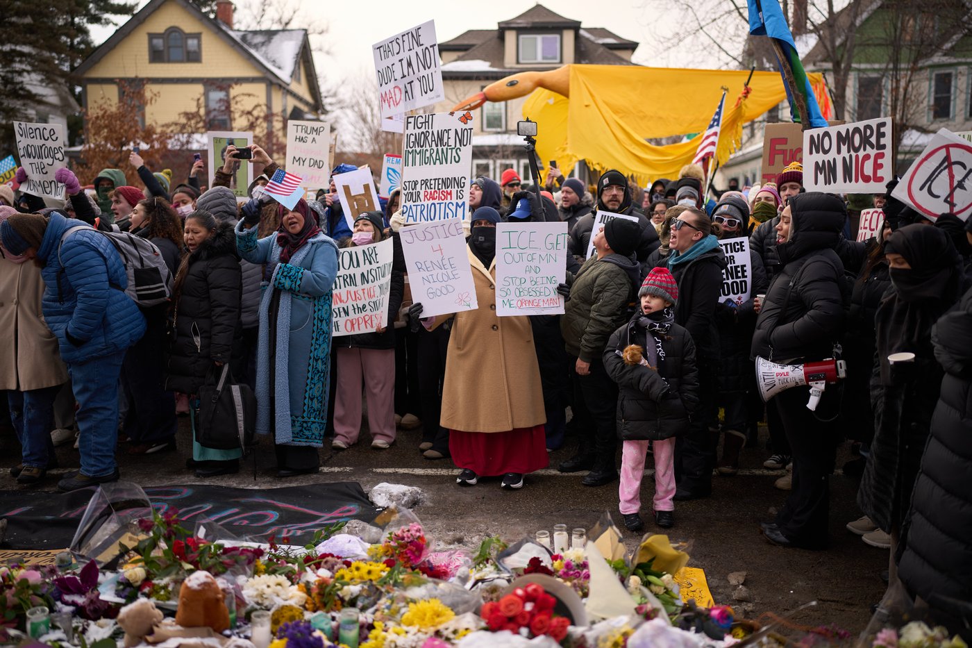 Minnesota Democrats are demanding a broader investigation into Renee ...