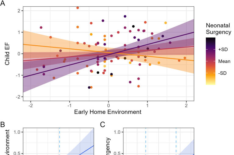 What if ADHD risk isn't fixed at birth, but shaped by how early ...