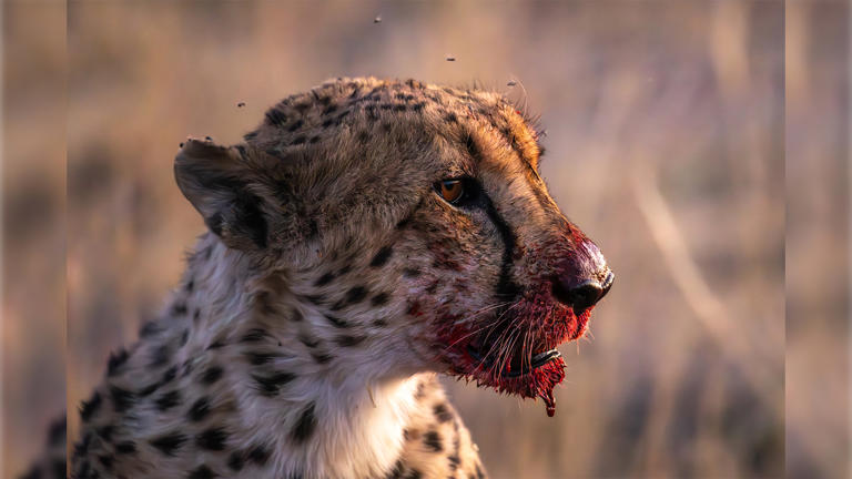 You have less than 2 weeks to enter the £10,000 LCE Photographer of the ...