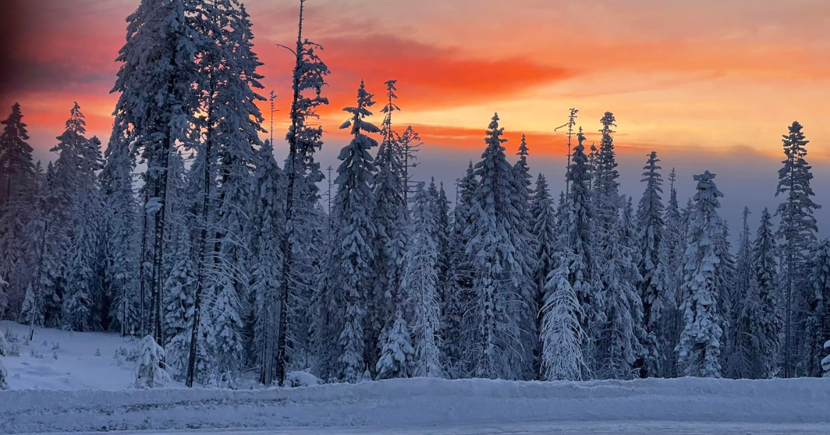 Not a skier? This Idaho snow tubing spot is just as much fun