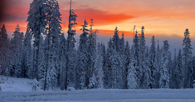 Not a skier? This Idaho snow tubing spot is just as much fun