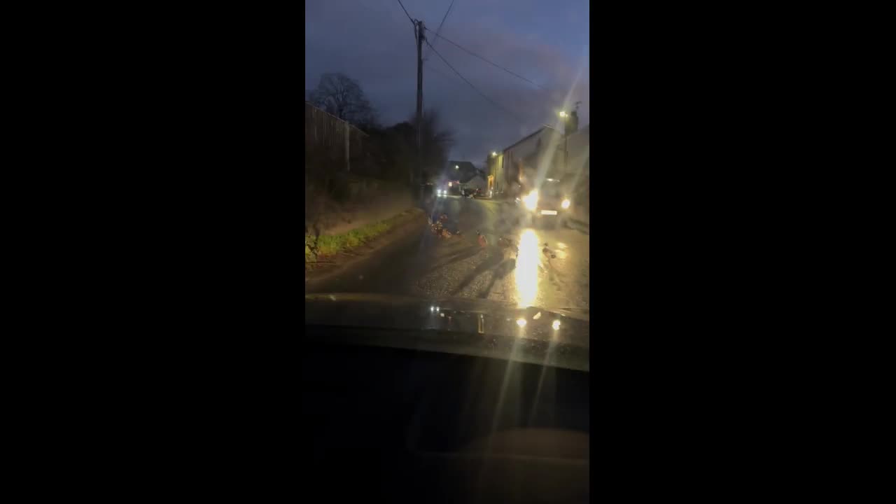 Ducks stop traffic while crossing the road in Diss, UK
