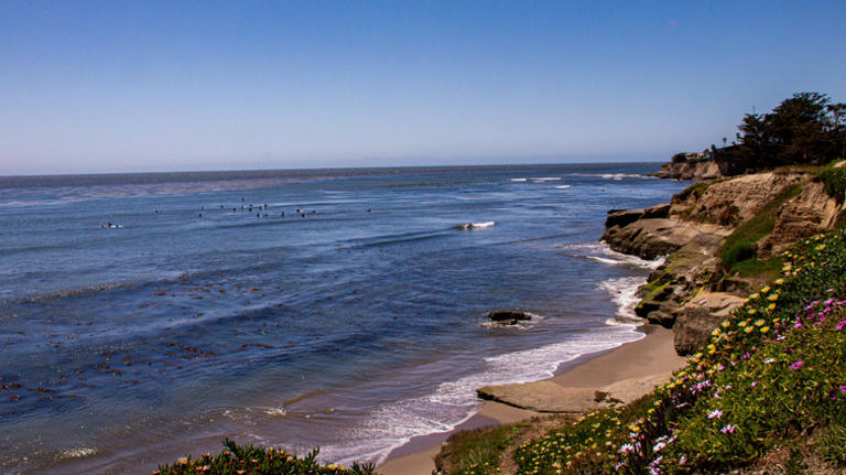 'The jewel of Santa Cruz' is a casual beach district with restaurants ...