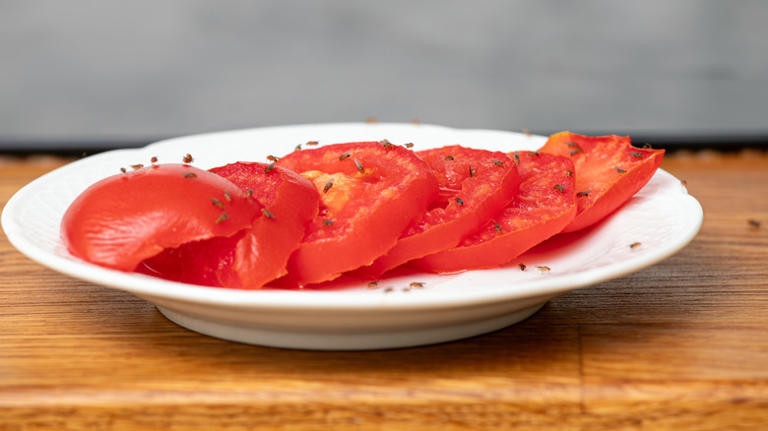 This easy 3-ingredient mixture eliminates pesky gnats in your kitchen