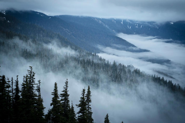 Discover why this Washington mountain shines in winter
