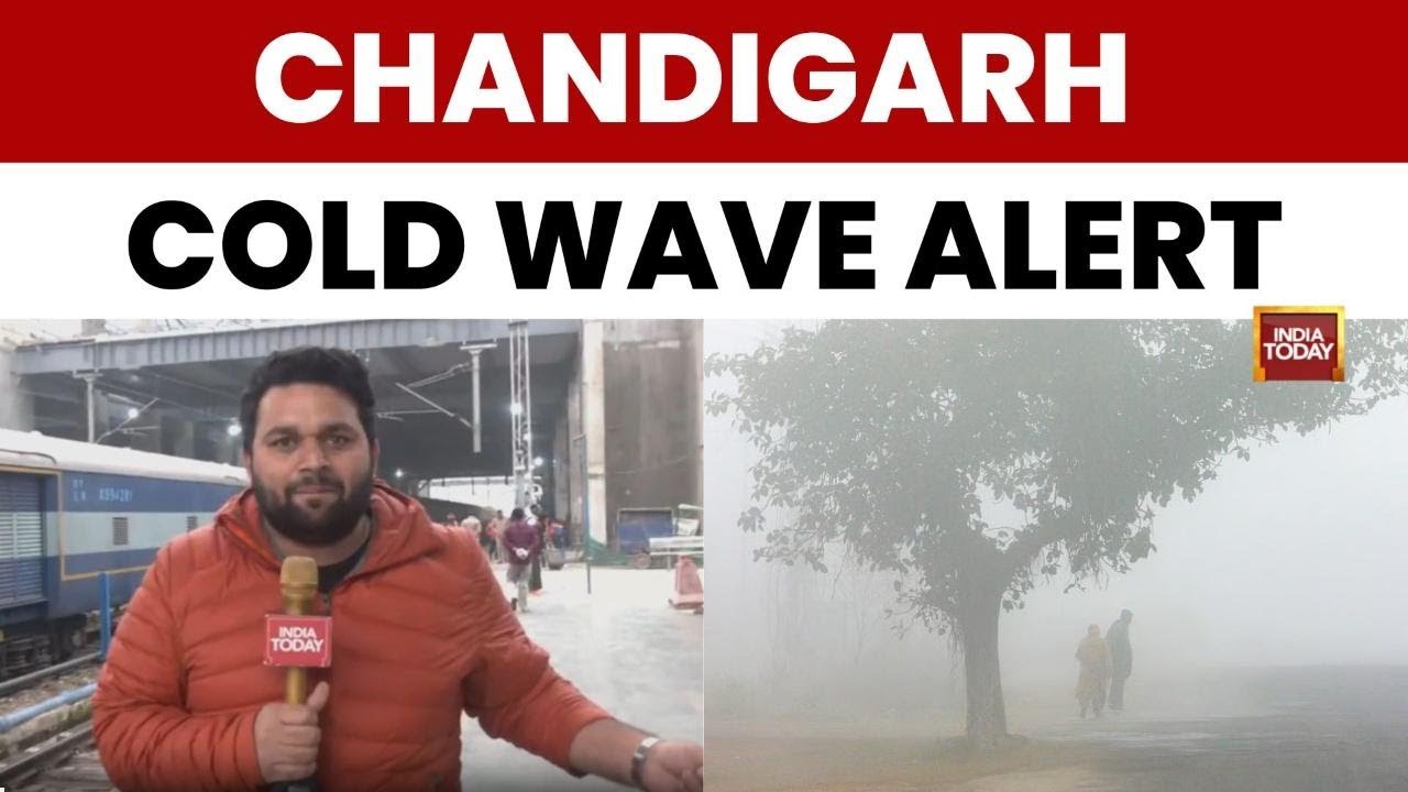 Severe cold wave hits Chandigarh: Trains flights delayed amid dense fog ...