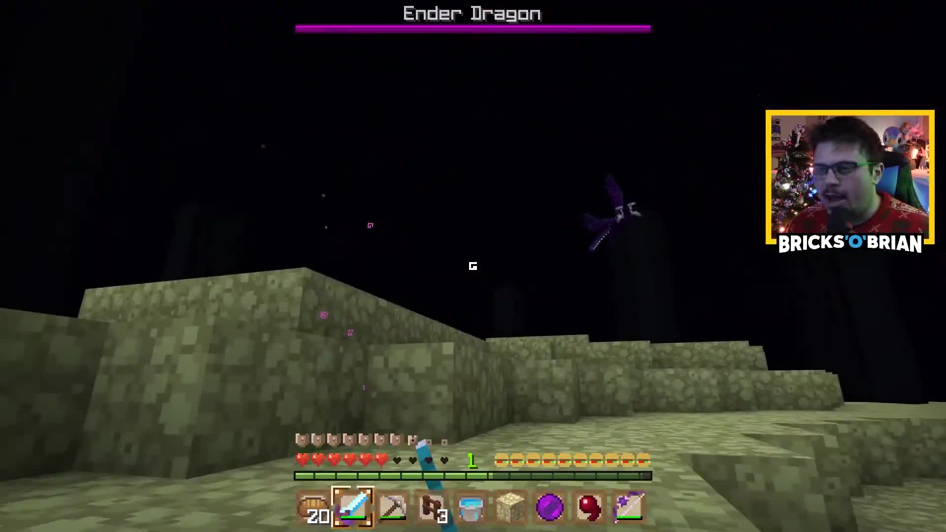 Slaying the Ender Dragon! 101 things to do in Minecraft with Bricks 'O ...