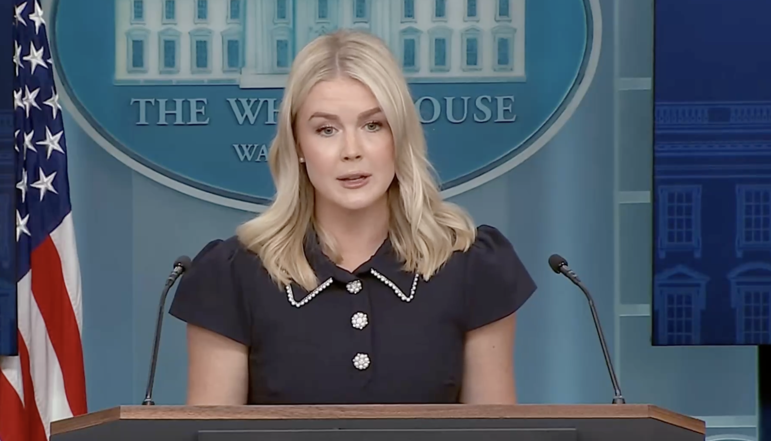 'We inherited an economic mess': Karoline Leavitt struggles to explain ...