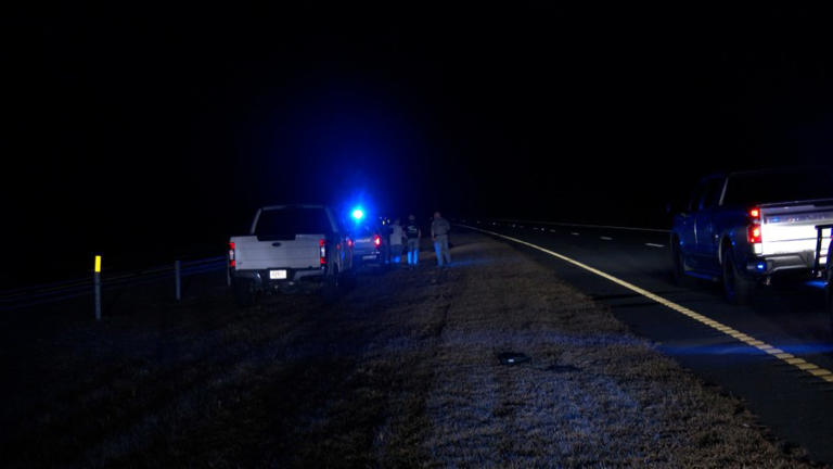 Eight cows killed Saturday night along Highway 22, Horry County police say
