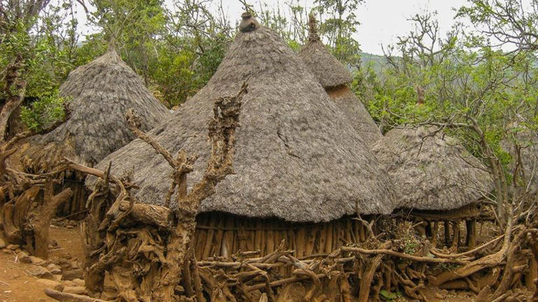 Un viaje a las raíces de la humanidad