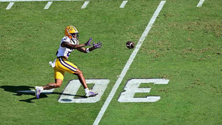 Former LSU WR Destyn Hill finds new home with different Louisiana team