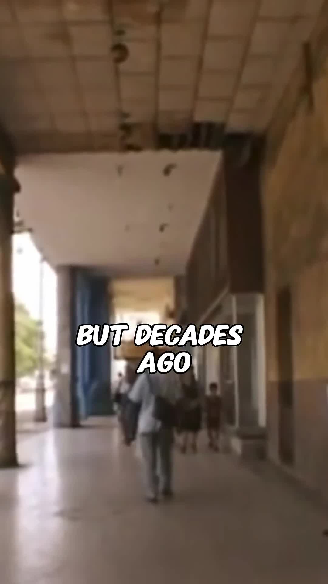 Chinese cuisine experience after 80 years