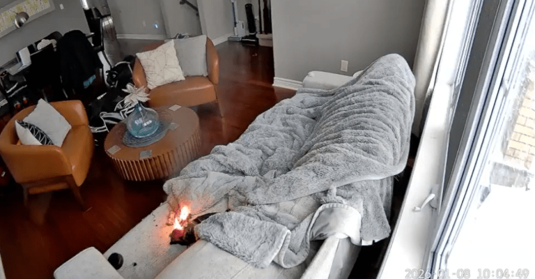 Video: Dog chewing heated glove starts fire in home's living room