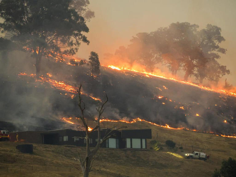 Deadly bushfires tear through state