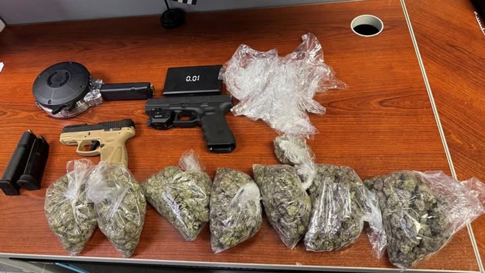 Traffic stop leads to drug bust, police
