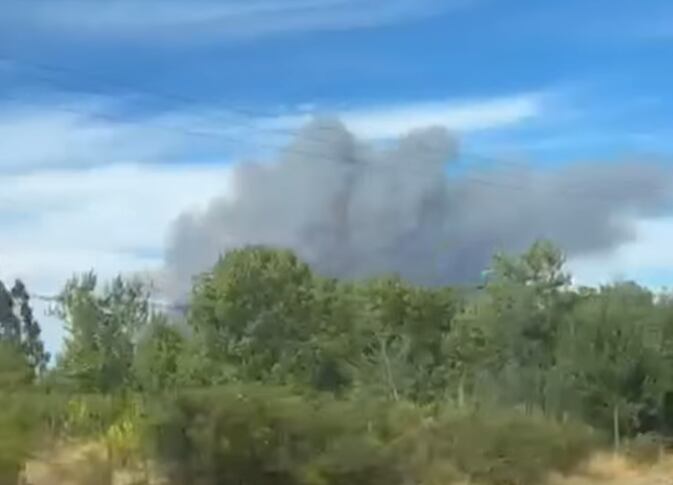 Incendio forestal en Cauquenes: piden evacuar sectores San Pedro ...