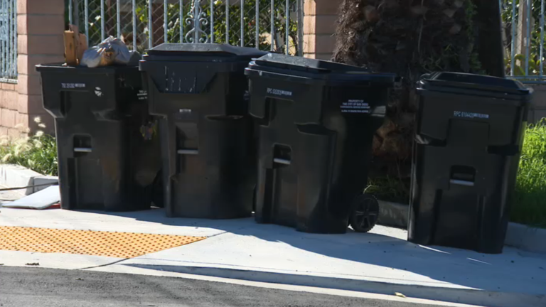 Multiple black trash bins continue to line neighborhood streets after ...