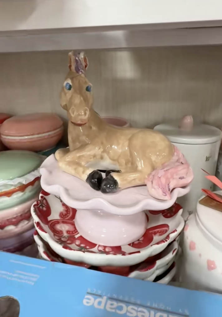 A HomeGoods shopper saw a very strange item for sale at the store – 'I ...