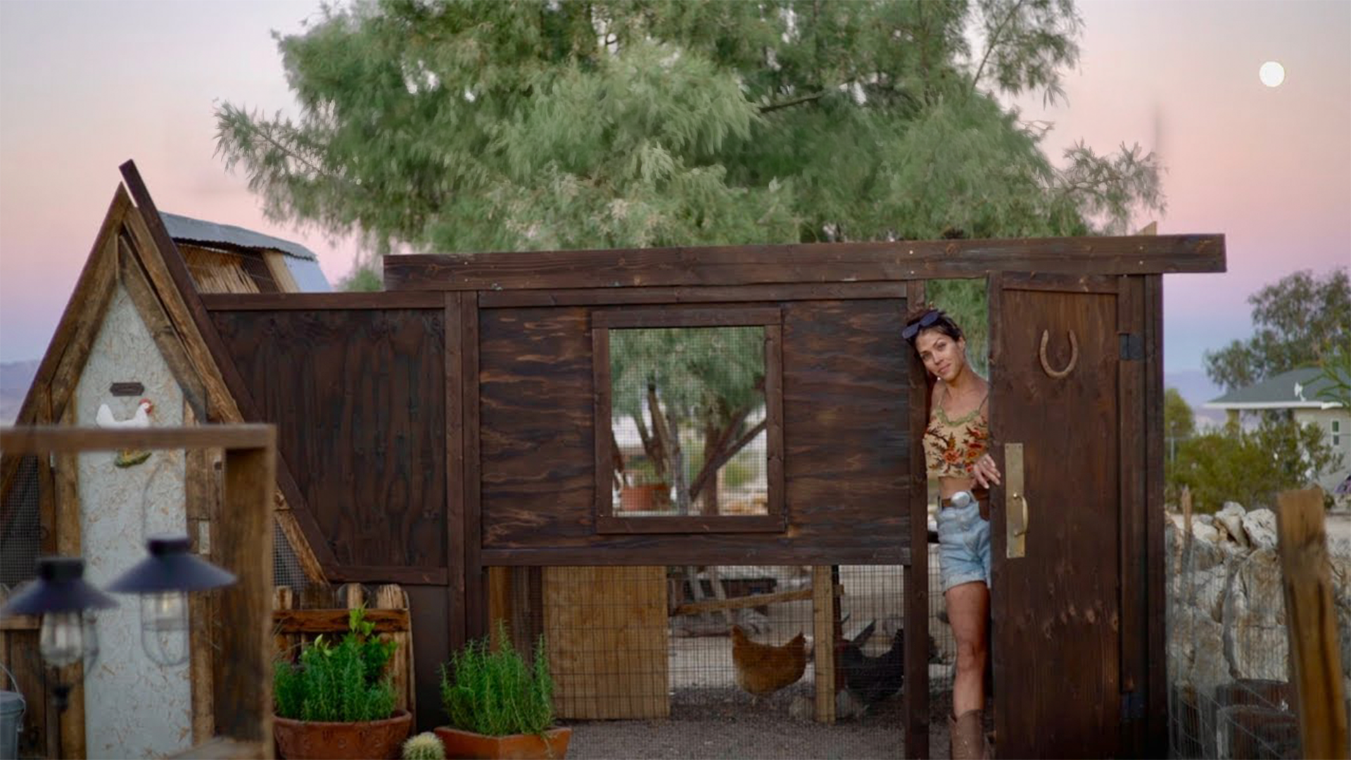 Fresh start for happy hens