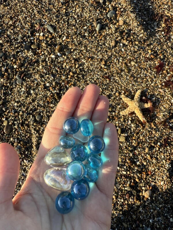 Researchers stunned after spotting creature in unexpected area ...