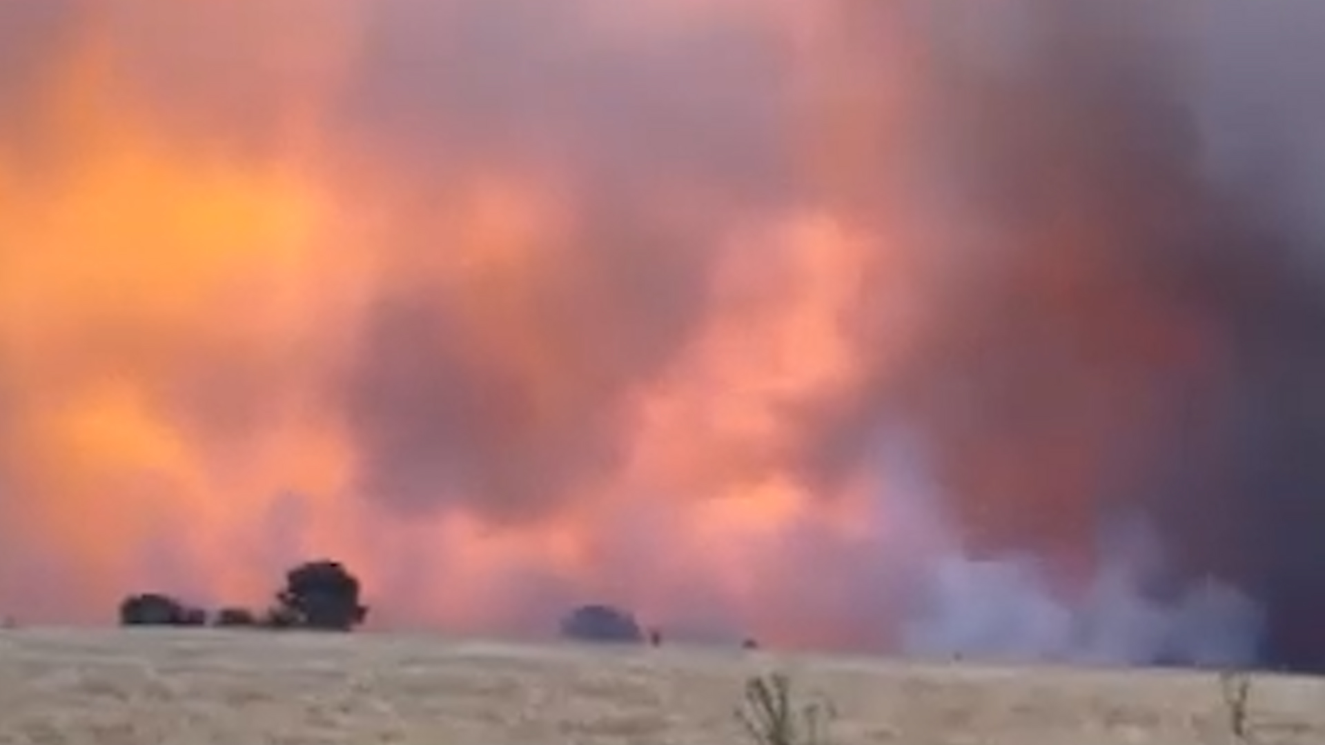 Australian man braves raging brushfires with heavy machinery