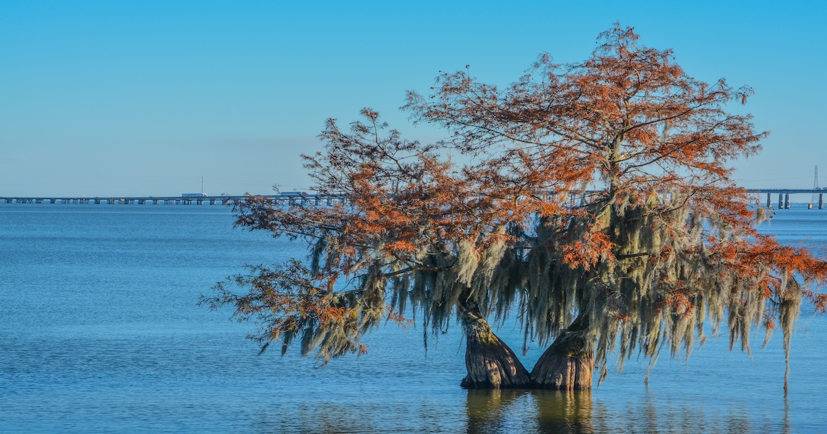 Why winter is this South Carolina state park's secret season