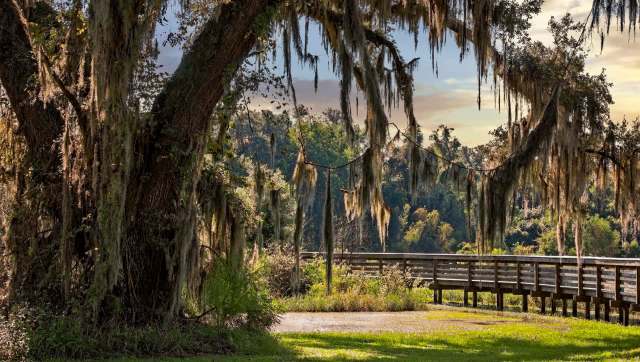 Expert issues warning over dangerous creature wrecking havoc across ...