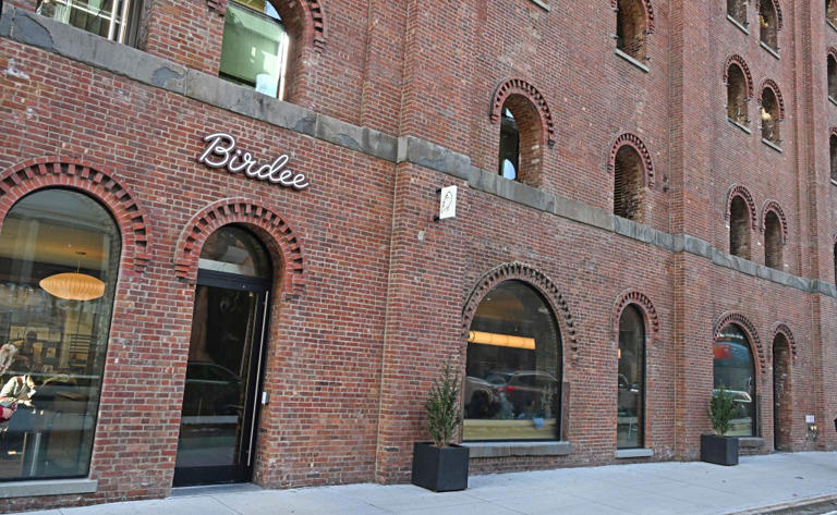 Dog attack at buzzy NYC bakery Birdee sparks debate about pooches in ...