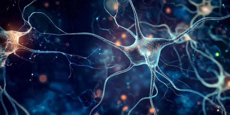 How scientists are growing computers from human brain cells – and why ...