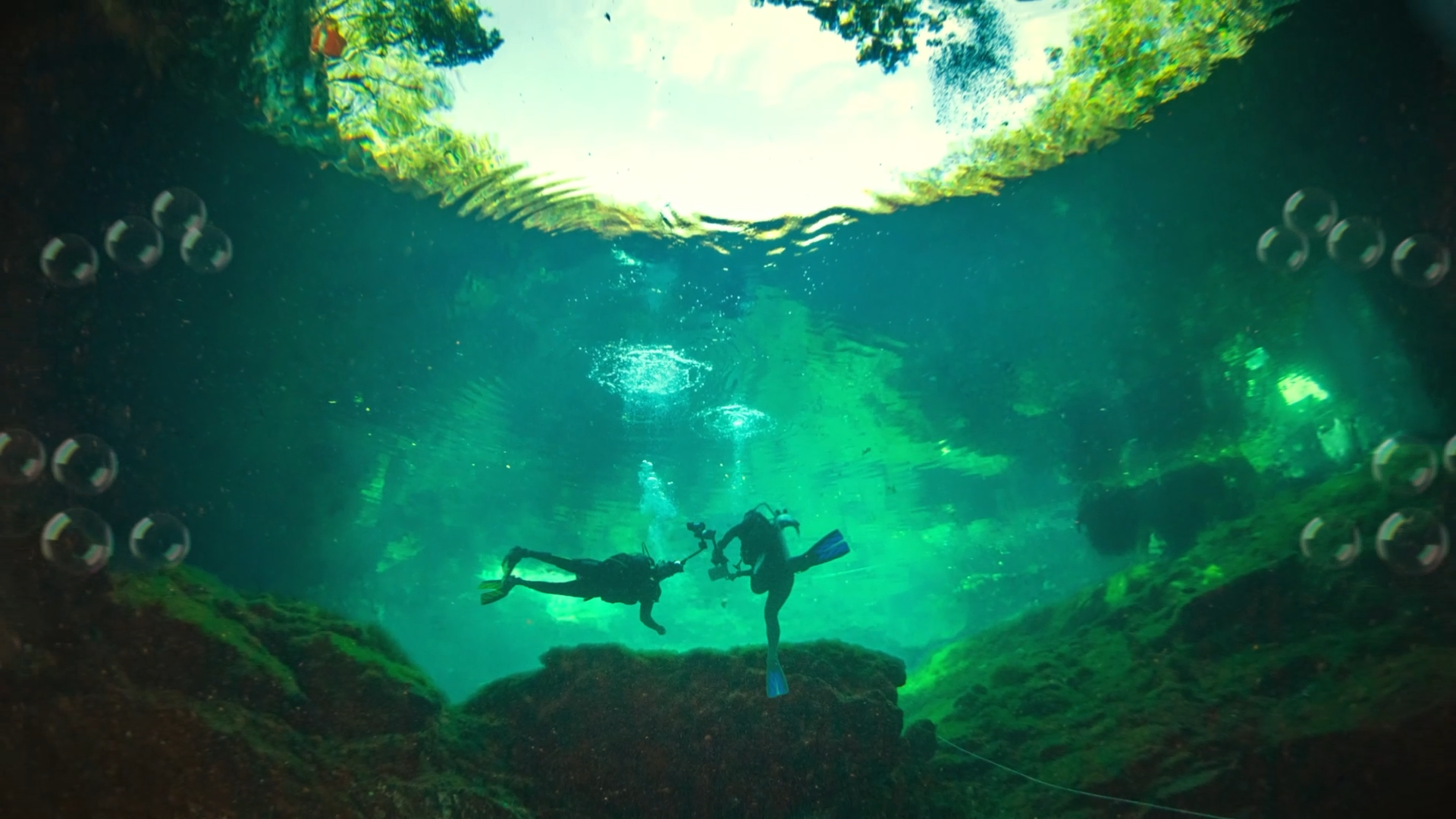 Ice Age fossils unearthed in Florida's mysterious sinkhole