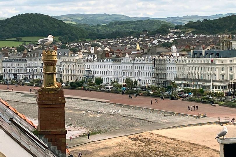 'We're being completely screwed,' hotels boss livid