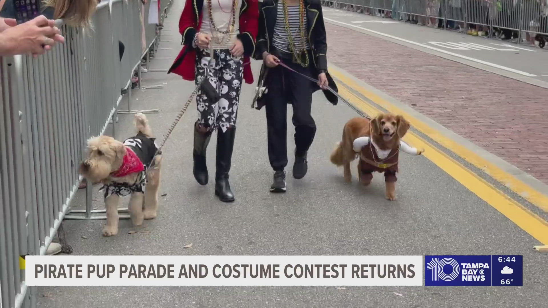 Pirate pup parade and costume contest returned to Tampa