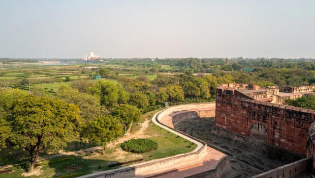 Researchers stunned after spotting creature in unexpected area ...