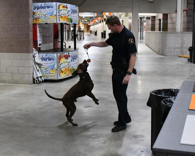 'Greatly missed' University of Tennessee police dog dead