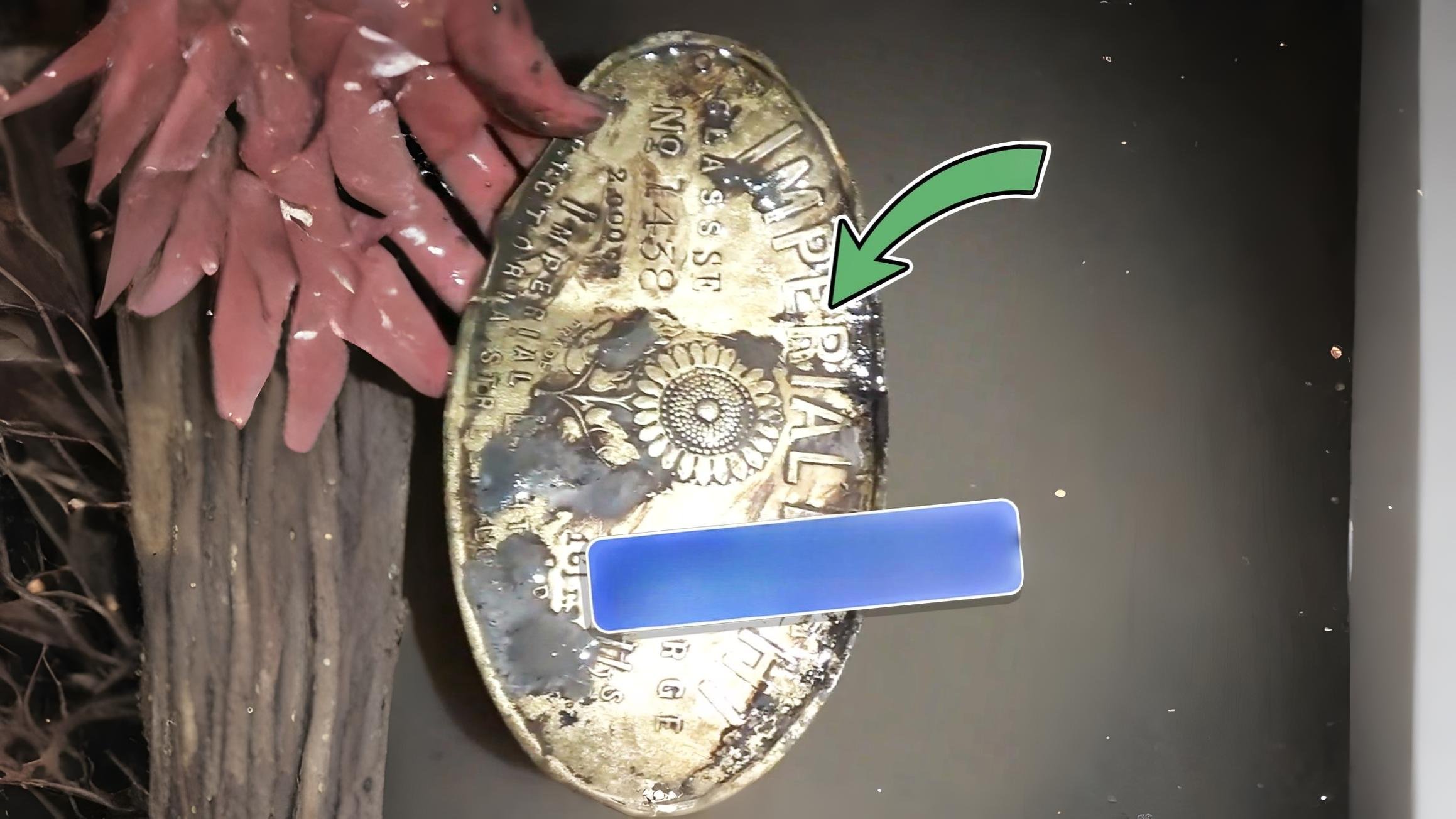 One trip, endless treasures: My most shocking Thames mudlarking day yet!