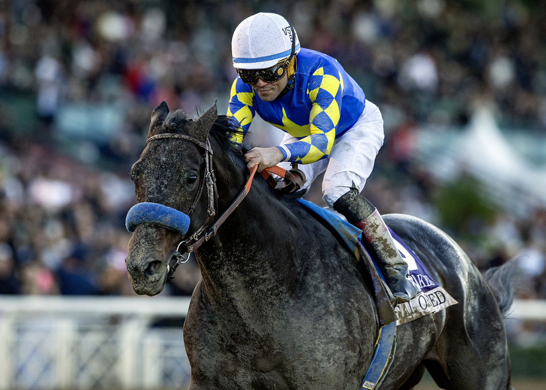 Grade 1 winner Goal Oriented retired, to stand at Spendthrift Farm