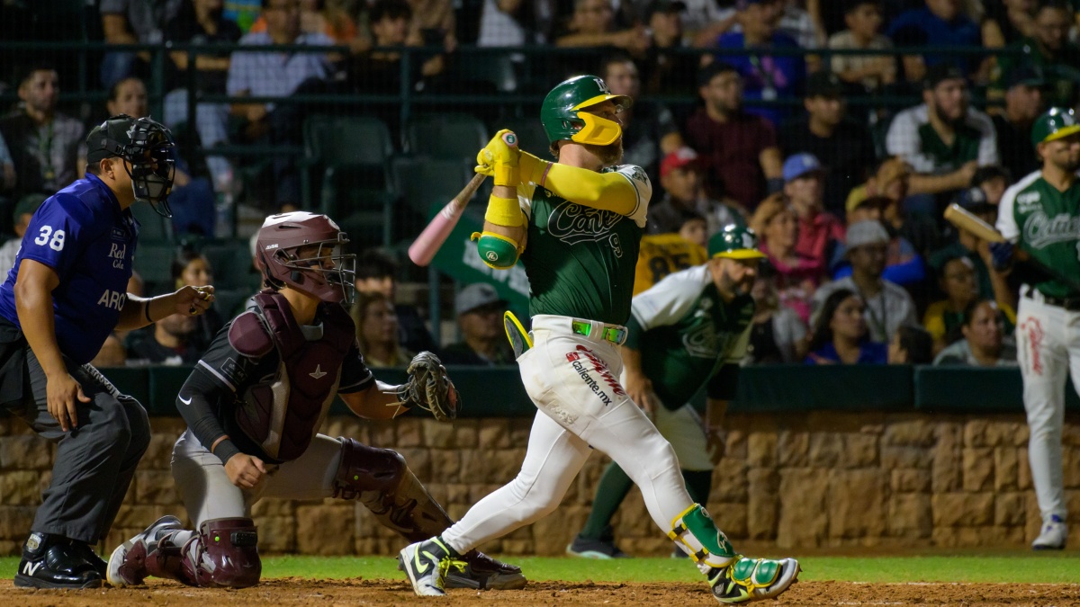 LIDOM: Champion bat de la LMP consigue histórico récord en la liga ...